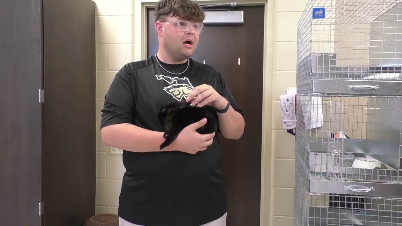 Program Spotlight; DHS Agricultural Program