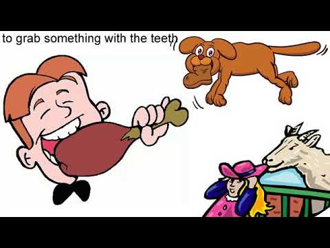 bite meaning | Vocabulary for Kids | Children's Dictionary | Learn English Vocabulary