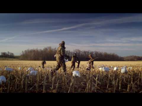 Academy Sports + Outdoors 'In the Clouds' by The Jar Family