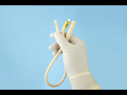 Veterinary Catheters Market, Key Trends and Innovations Shaping Animal Care in 2025