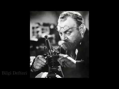 Who is Robert Koch ?