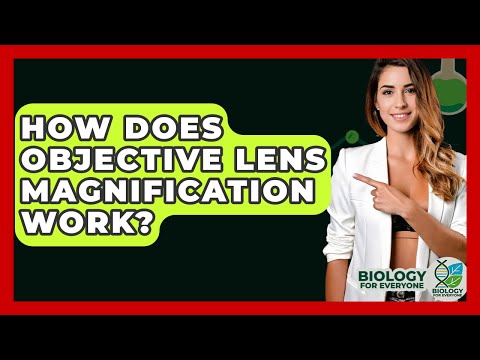 How Does Objective Lens Magnification Work? - Biology For Everyone