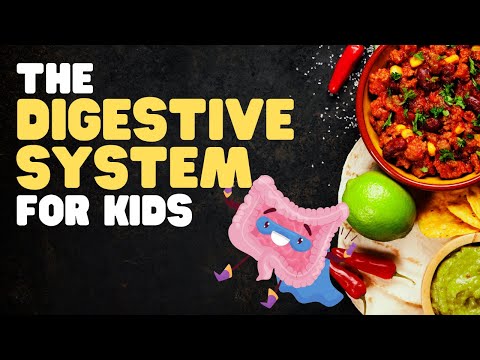 The Digestive System for Kids | A fun engaging overview of what happens when we eat!