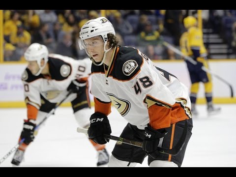 Panthers acquire Michael Sgarbossa from Ducks; assign forward to Springfield Thunderbirds