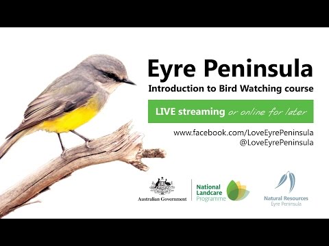 EP Birds Course - Week 1 (Binoculars & Bird Classification)