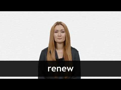 RENEW 释义 | 柯林斯英语词典