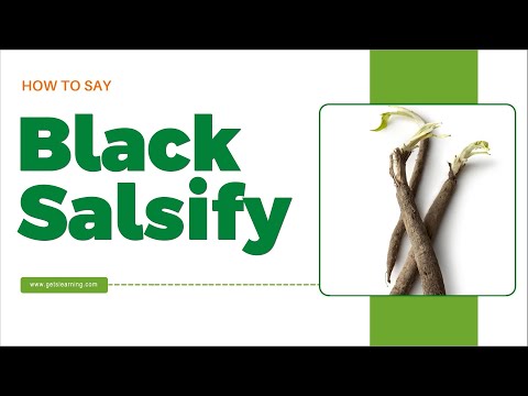 How to say Black Salsify in English Correctly