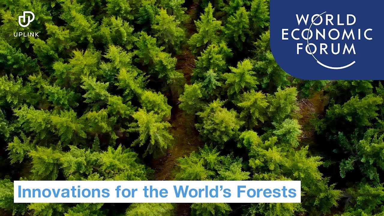 UpLink: Innovations for the World's Forests | UpLink