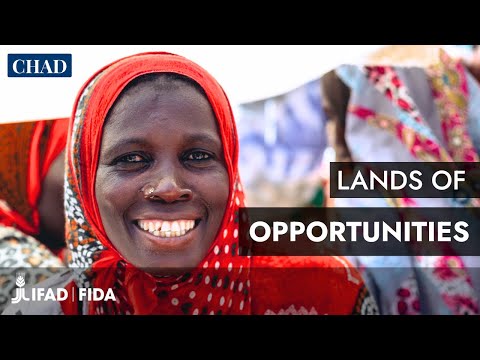 Chad: responding to crisis