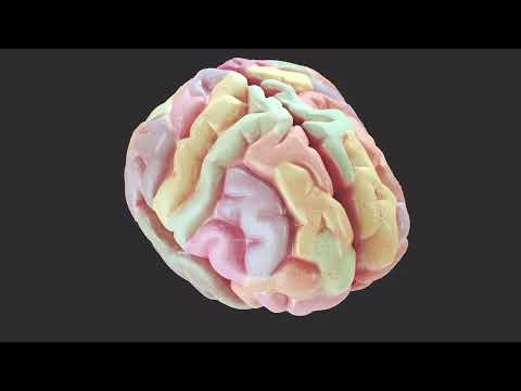 SurgiAI - Guiding Every Surgical Step