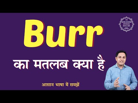 Burr meaning in Hindi | Burr ka matlab kya hota hai | English to hindi