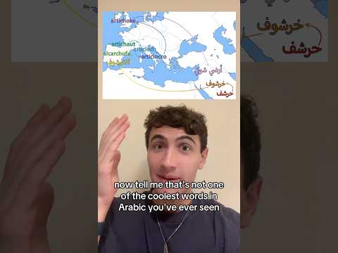 The CRAZIEST Arabic etymology… #sponsored