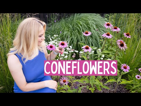 This Perennial Should Be Planted in Every Garden - Find Out Why! | Garden with Marta