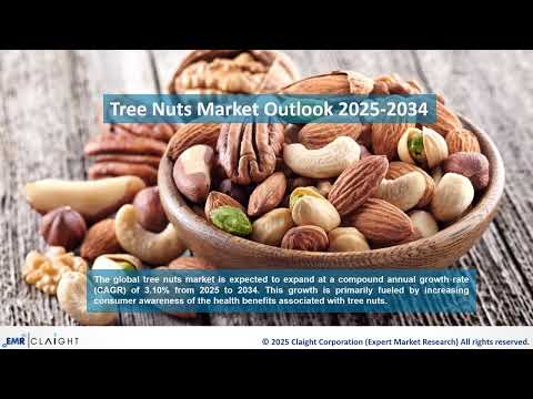 Tree Nuts Industry Growth Forecast to 2034