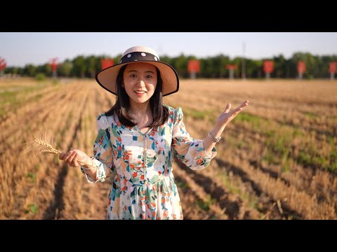 Arable land protection in China with satellites technology and field-leader policy