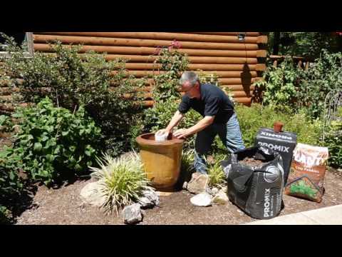 How to Properly Fill a Large Plant Pot