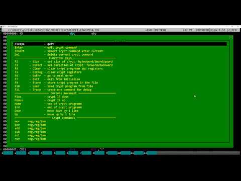 HIEW tutorial hexadecimal editor part 4 HD key generator using Crypto module