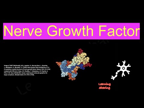 Nerve Growth Factor (NGF), Neurotrophic Protein, Nerve Cells, Tropomyosin Receptor Kinase A.