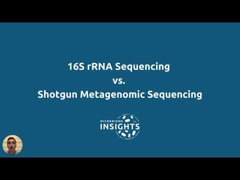 16S rRNA Gene Sequencing vs. Shotgun Metagenomic Sequencing