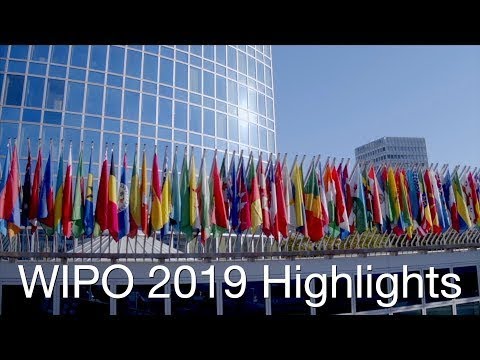 WIPO 2019: A Year in Highlights | INTELLECTUAL PROPERTY PLANET