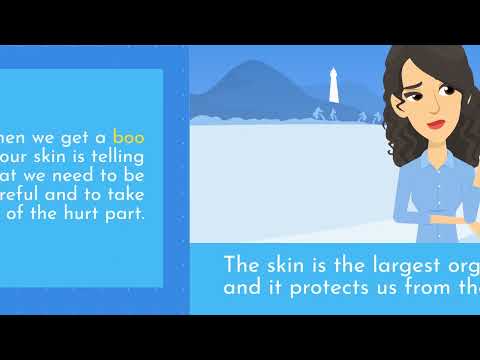 Understanding Boo Boos: A Guide for Kids and Parents – Why Does?