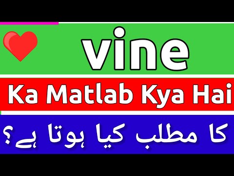 Vine Meaning In Urdu | Vine Ka Matlab Kya Hota Hai | Vine Ka Matlab Kya | Vine Ka Meaning Kya Hai