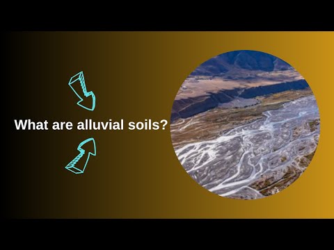 What are alluvial soils?