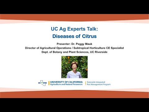 UC Ag Experts Talk: Diseases of Citrus