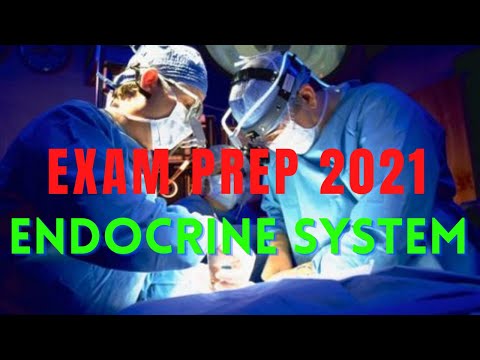 CPC, COC, CCS, CCS-P EXAM PREP - ENDOCRINE SYSTEM