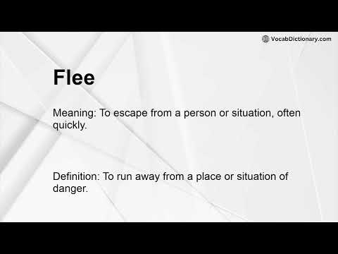 Flee Meaning