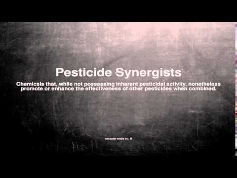 Medical vocabulary: What does Pesticide Synergists mean