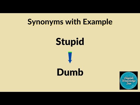 Synonyms of Stupid | Words synonyms and sentences | Use to synonym