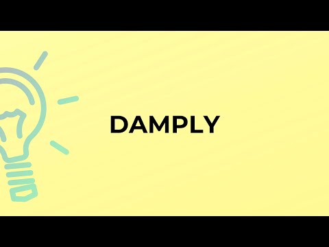What is the meaning of the word DAMPLY?