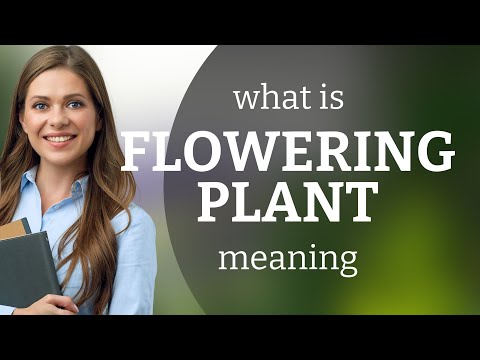 Flowering plant — what is FLOWERING PLANT meaning