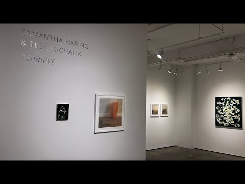 Contemporary Still Life Paintings by Samantha Haring &Tess Michalik