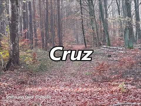 CRUZ as Family Name Meaning and Origin