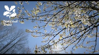National Trust The National Trust is for everyone, for ever. Commercial ...