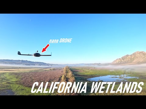 Alight Wing Aeronautics