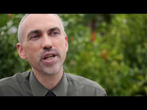 Enmity Bonus Feature - Who is Michael the Archangel?