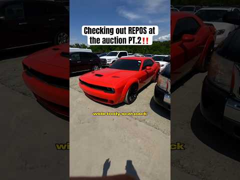 Checking out the REPOS at the auction PT.3‼️ #dodgecharger #shelbygt350 #carauction #fordmustang