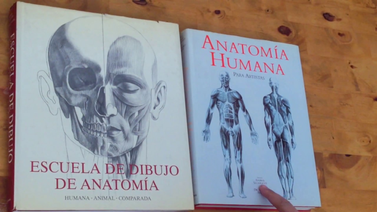 Escuela de Dibujo de Anatomía y Anatomía Humana para Artistas de SZUNYOGHY por Juan Herrera