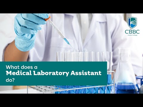 What does a Medical Laboratory Assistant do?
