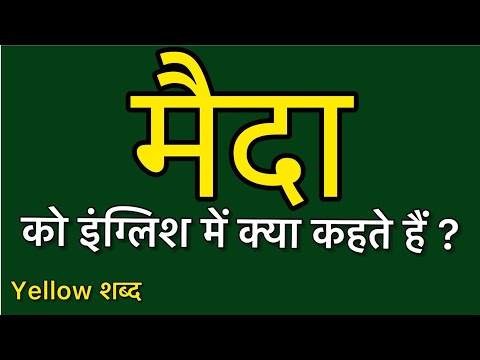 Maida ko english mein kya kahate hain | Maida ki meaning | Maida ki spelling