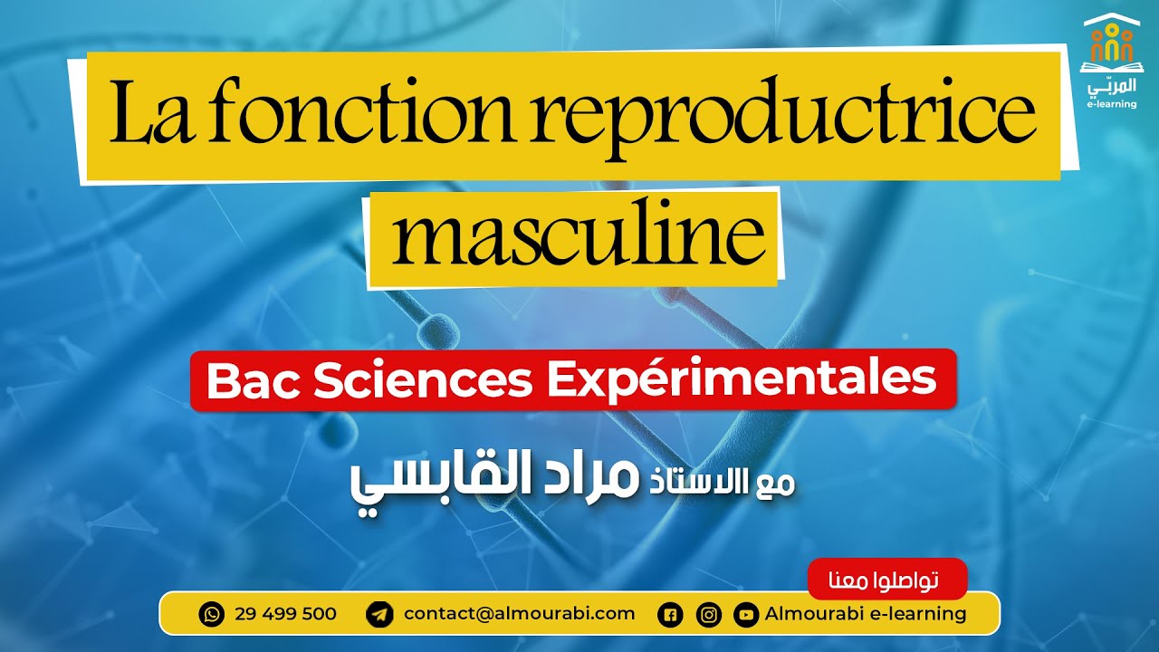 Almourabi - Plateforme E-Learning Tunisie | Cours en Ligne du 5ème Année au Bac en Tunisie ...