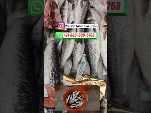 Eating Fish Is Helpful In Increasing Height Growth