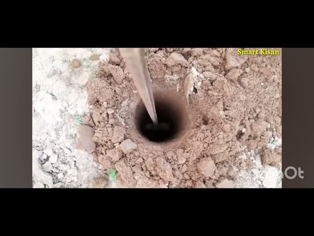 Agricultural Machines - Semi-Automatic Hand Wheel Hoe Manufacturer from ...