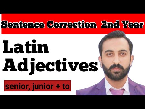 Latin Adjectives | Sentence Correction Part 10 2nd Year