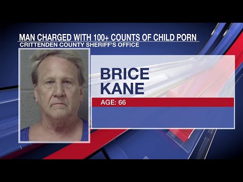 Man charged with 100+ counts of child porn