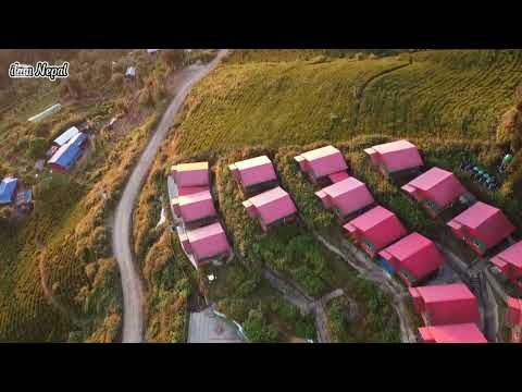 Visit In East Nepal- Ilam || kanyam || Google Resort & View point ||Harkate || Drone video