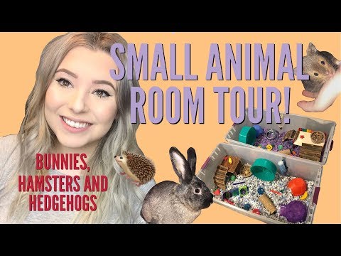 PET ROOM TOUR! | HEDGEHOGS, BUNNIES, HAMSTERS